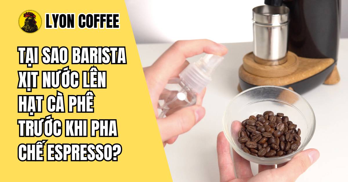 Tại sao xịt nước lên hạt cà phê trước khi pha espresso - Lyon Coffee