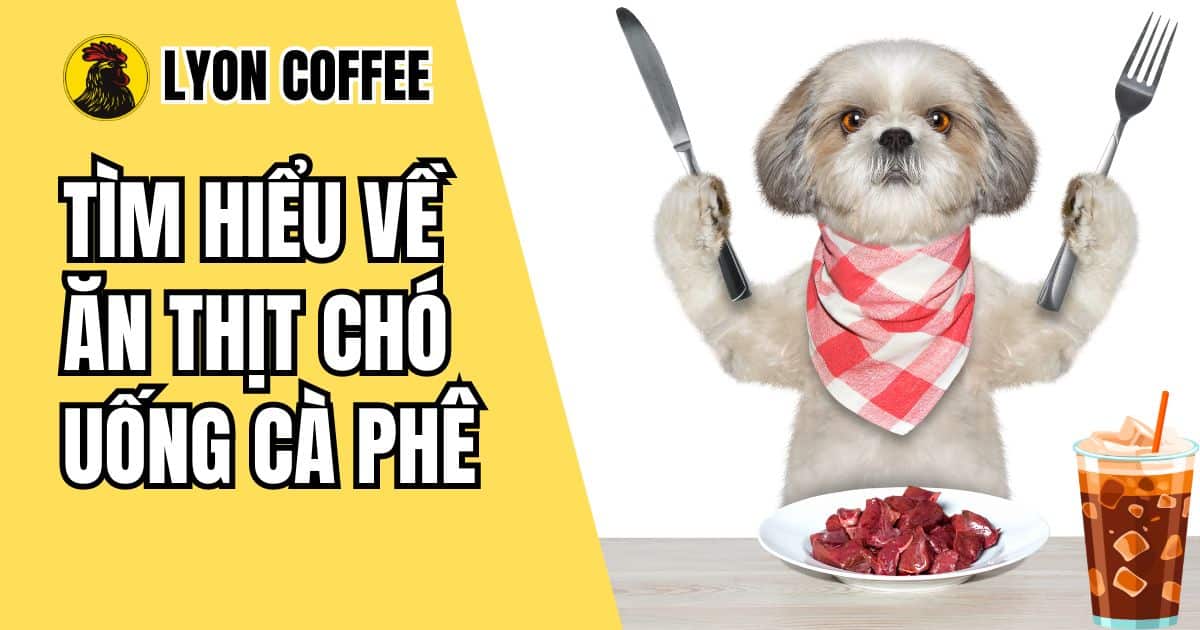 Ăn thịt chó uống cà phê có sao không - Lyon Coffee