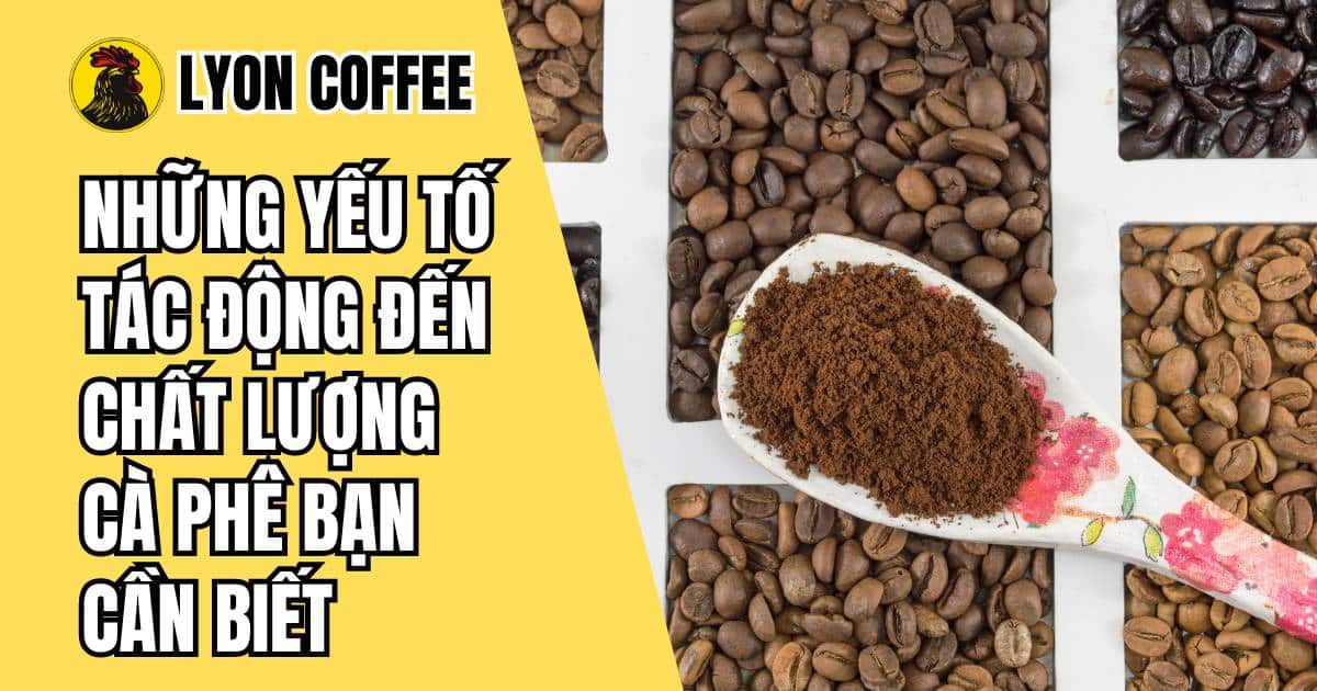 Những yếu tố tác động đến chất lượng cà phê - Lyon Coffee