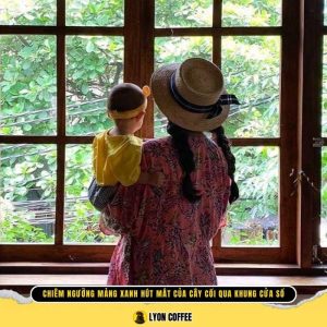 Xofa Cafe & Bistro Hà Nội: Đánh giá, menu, và không gian